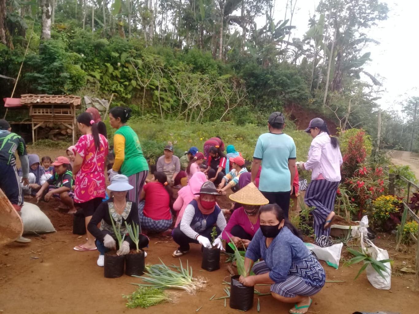 PENANAMAN TOGA PKK RT. 40 - Website Desa Ngadimulyo